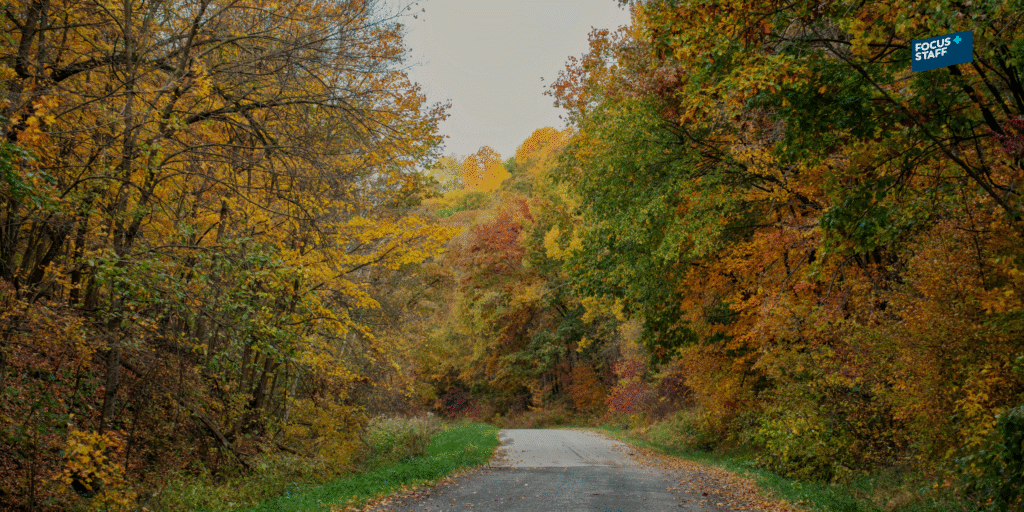 The Insider’s Guide to Progressive Care Units - Focus Staff – It's ...